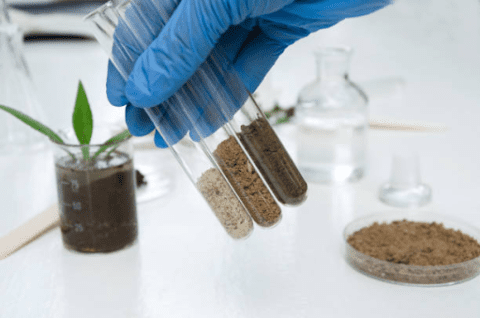 Here's Everything you Need to Know About Soil Testing & Analysis ...