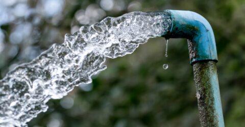 How Water Is Used As An Adulterant In Food Products - Cultivator Phyto Lab